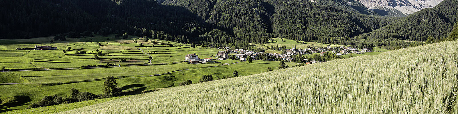 Valsot: Regiun Engiadina Bassa Val Müstair